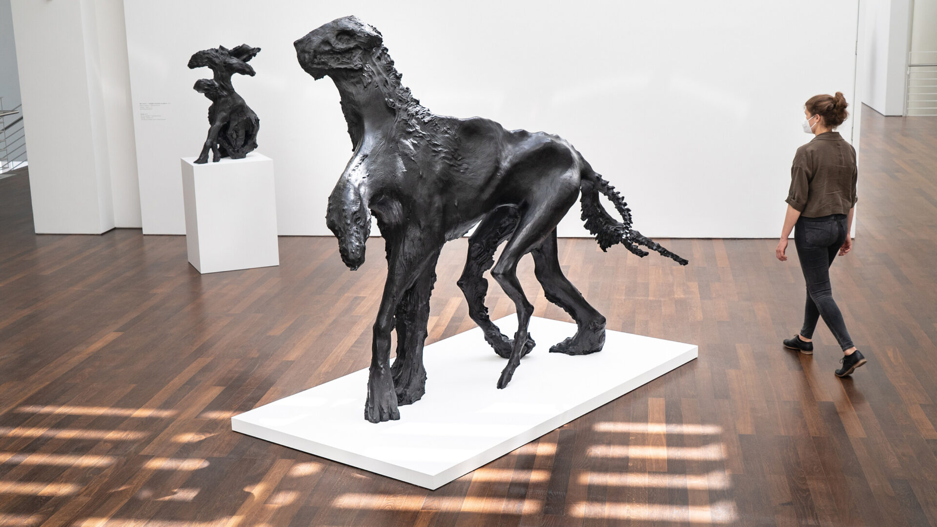 Stella Hamberg: Kraft und Sinnlichkeit - KunstArztPraxis